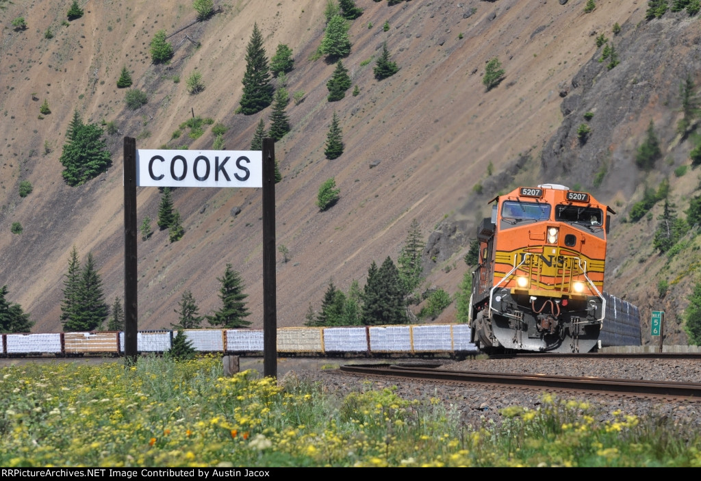 BNSF 5207